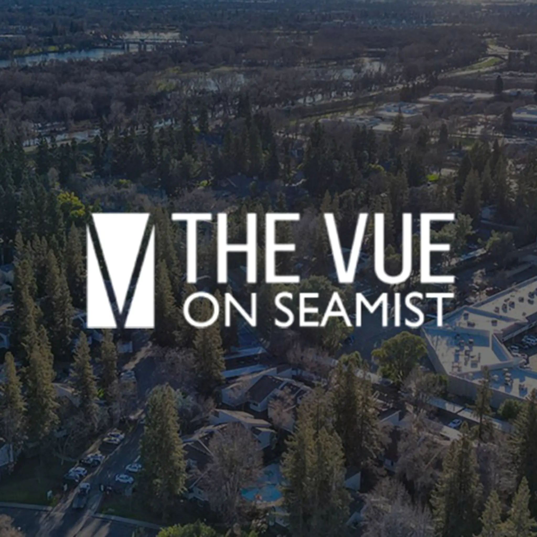 Home | The Vue